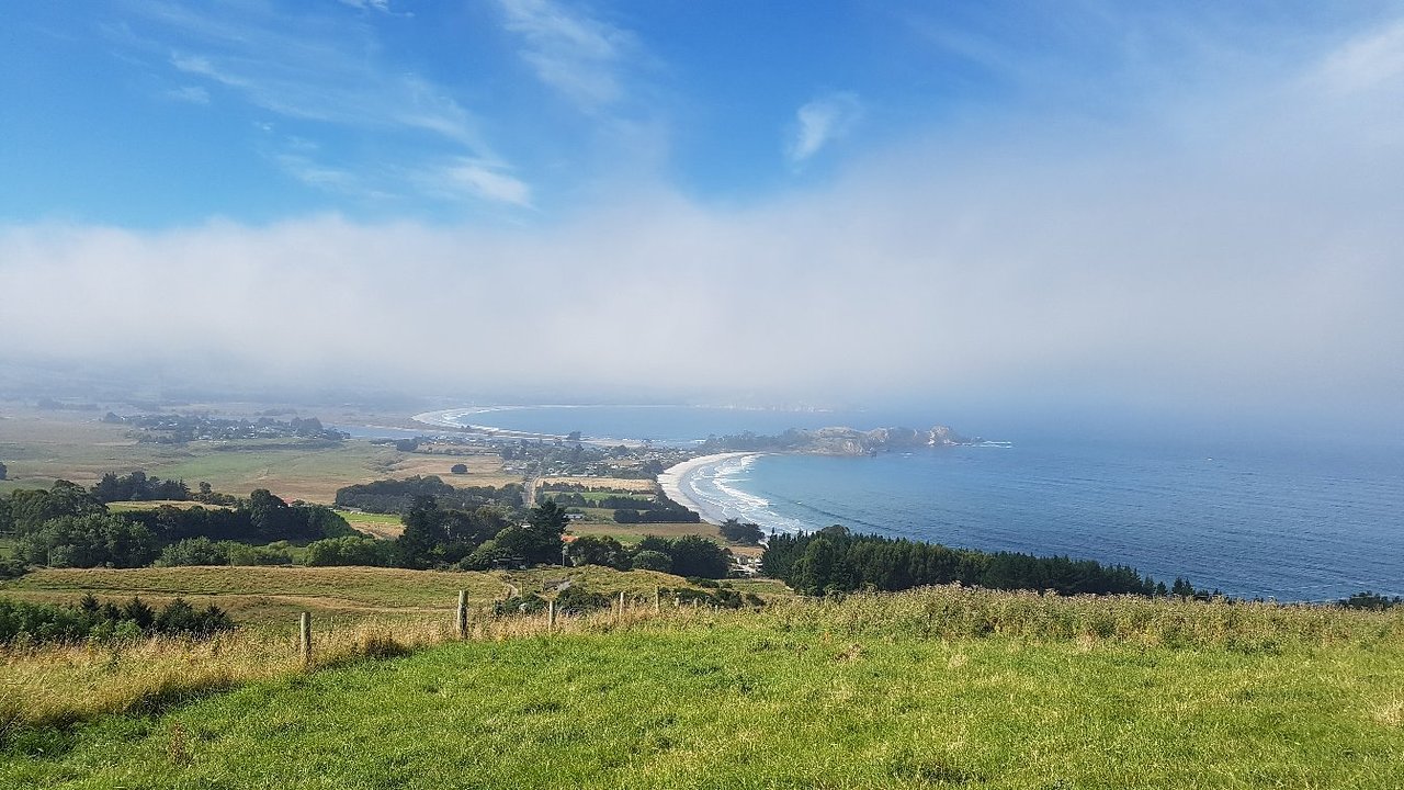 Day Trips In Dunedin | Otago Peninsula | New Zealand Rent A Car