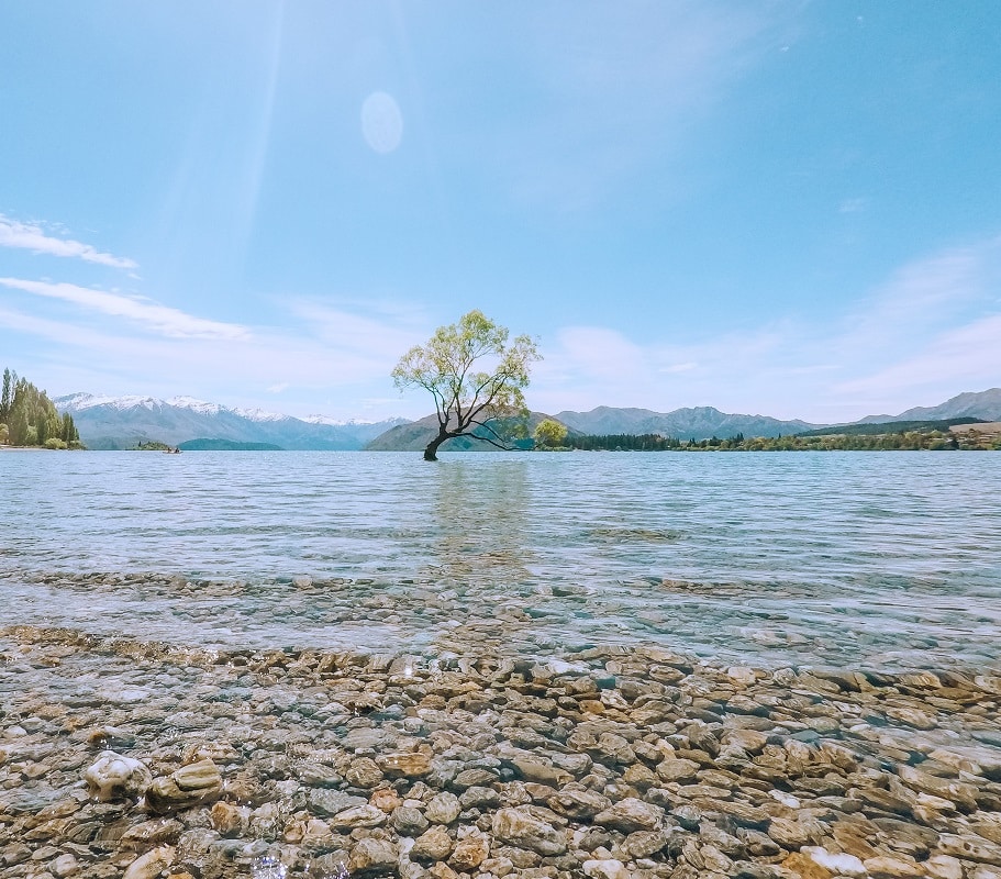 Visit Lake Wanaka - Activities & Attractions